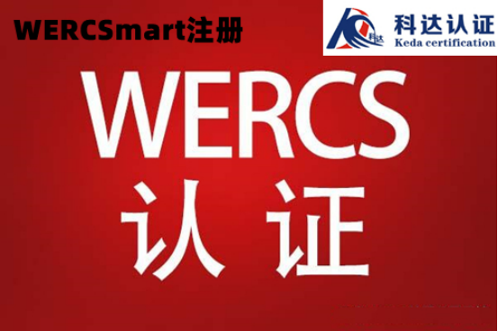 WERCS注册服务机构综合评估：专业能力与合规支持深度解析 - 哔哩哔哩